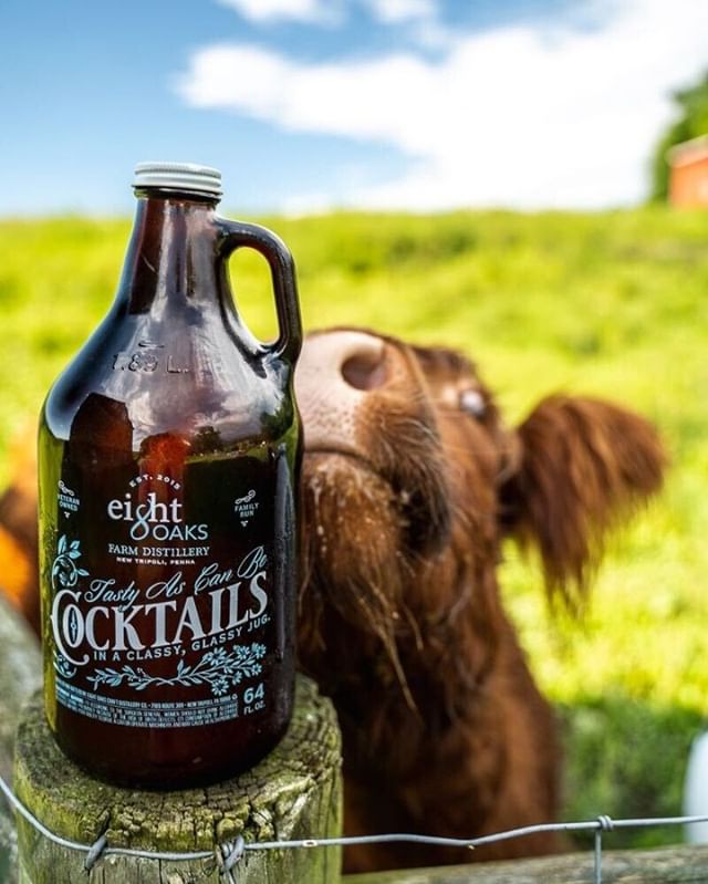 Stepping Up The Packaged Cocktails Game – Pennsy Local